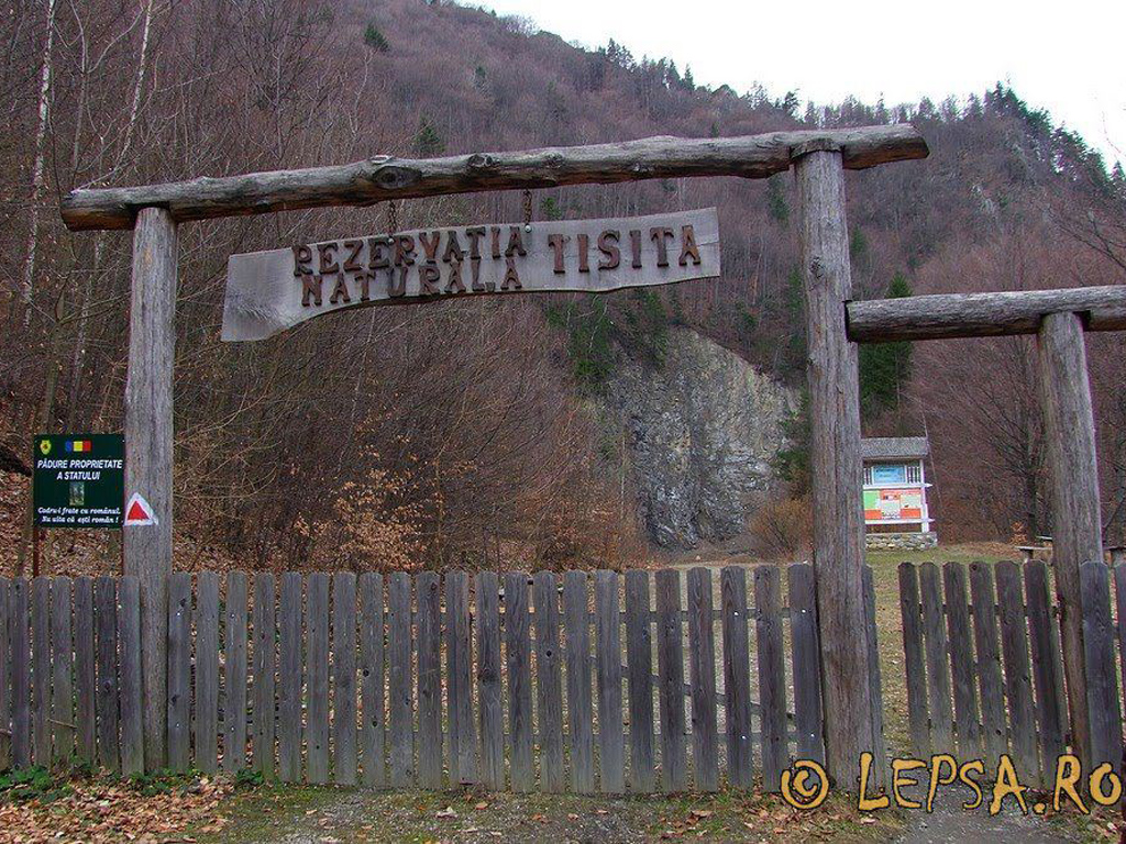 Galerie Foto | Statiunea Lepsa Vrancea